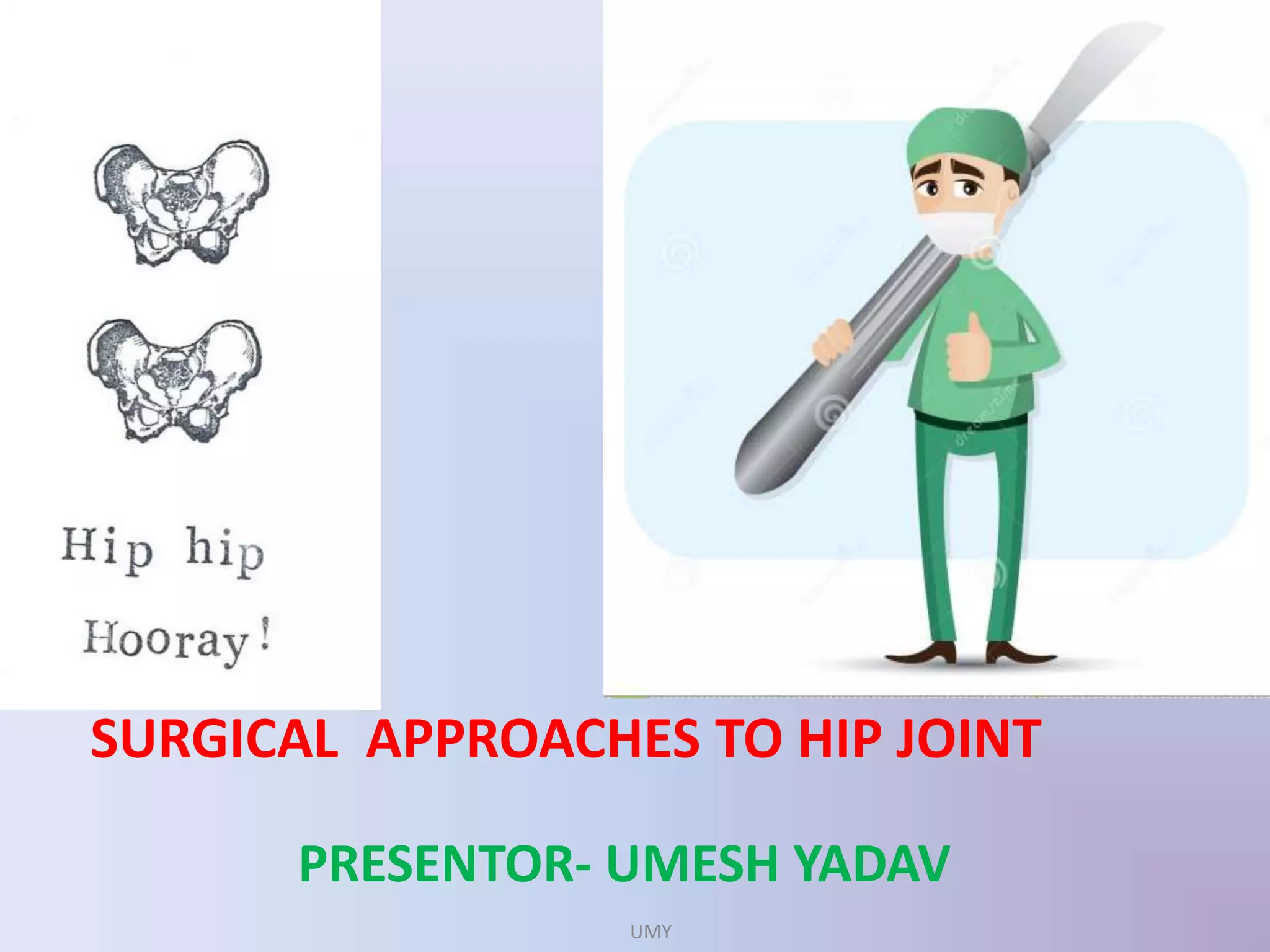 Approach to hip joint | PPTX