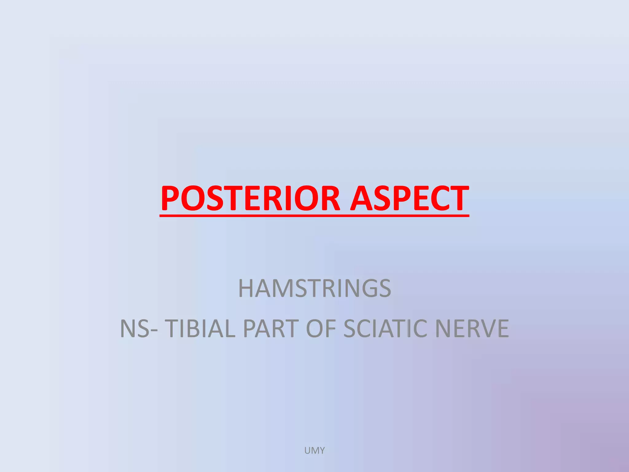 Approach to hip joint | PPTX