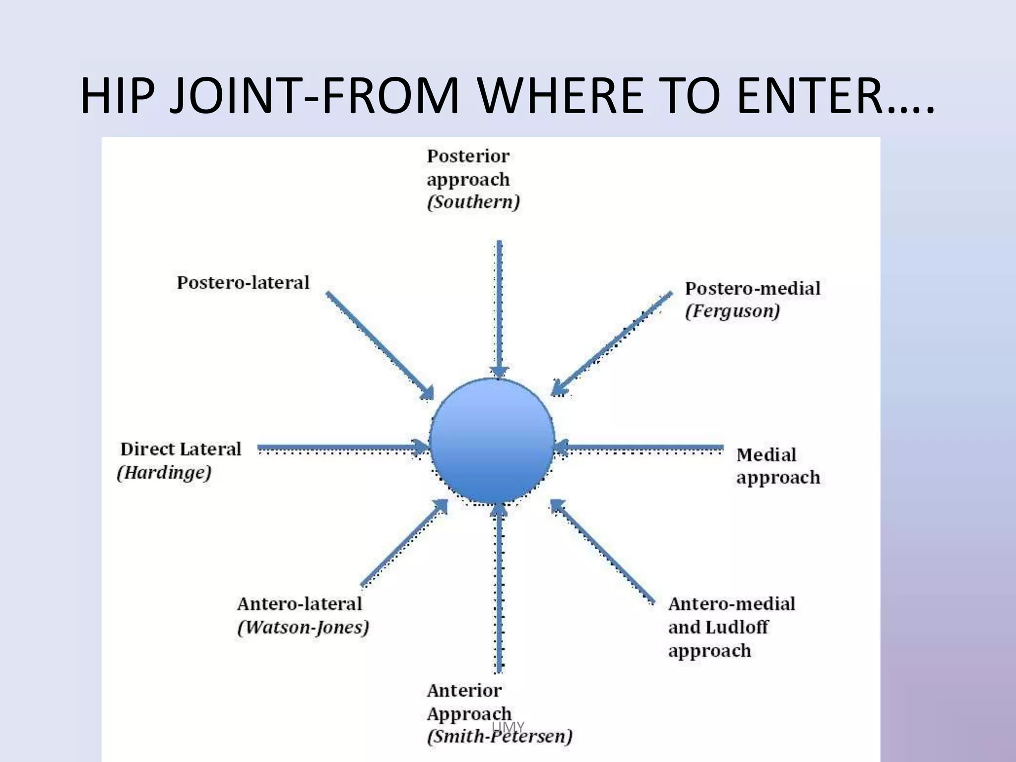 Approach to hip joint | PPTX