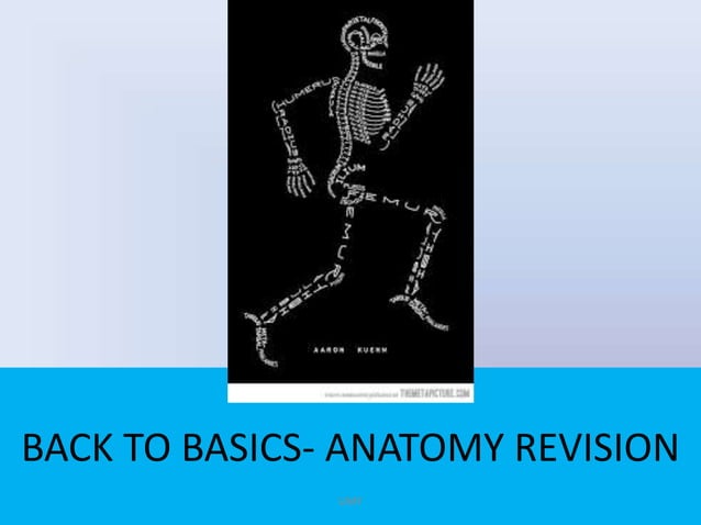 Approach to hip joint | PPTX