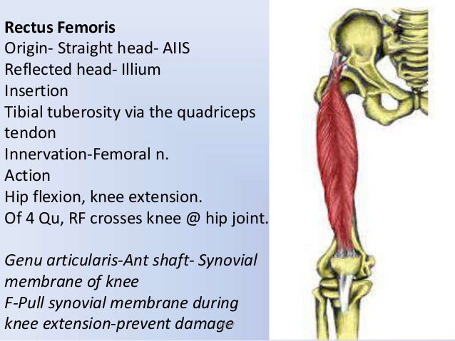 Approach to hip joint