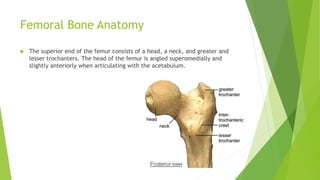 Approach to hip joint pain in childhood | PPTX