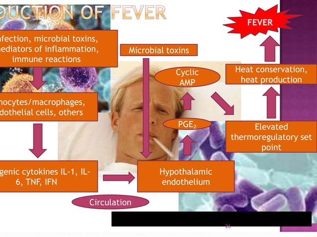Approach to history taking in a patient with fever | PPTX | Infectious ...