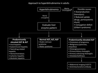 Approach to hyperbilirubinemia in adults HY | PPT