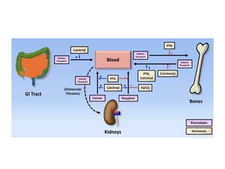 approach to hypocalcemia, causes, investigation, pathophysiology ...