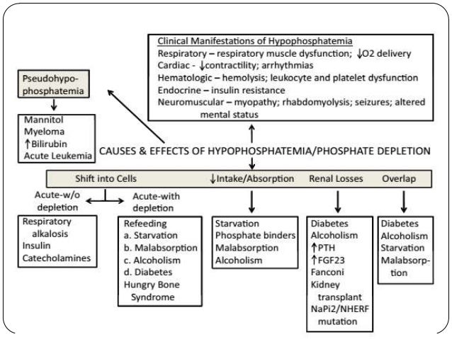 Approach to hypophosphatemia atee new