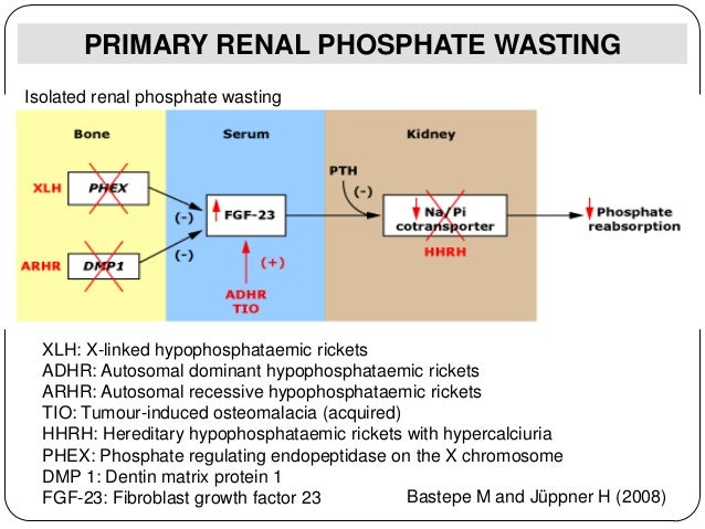 Approach to hypophosphatemia atee new
