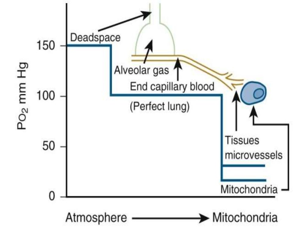 Approach to hypoxemia