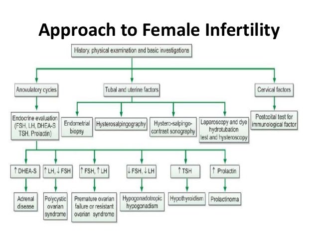 Approach to infertility