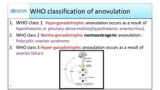 Approach to infertility by dr.bagasi