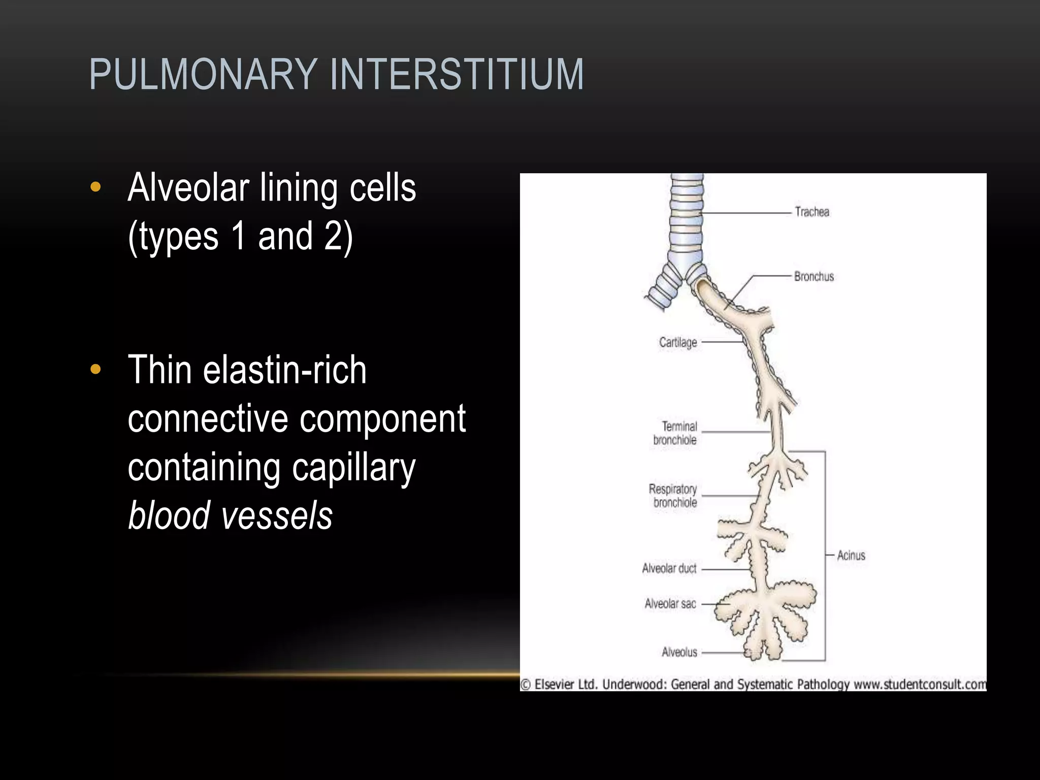 Approach to interstitial lung disease | PPTX