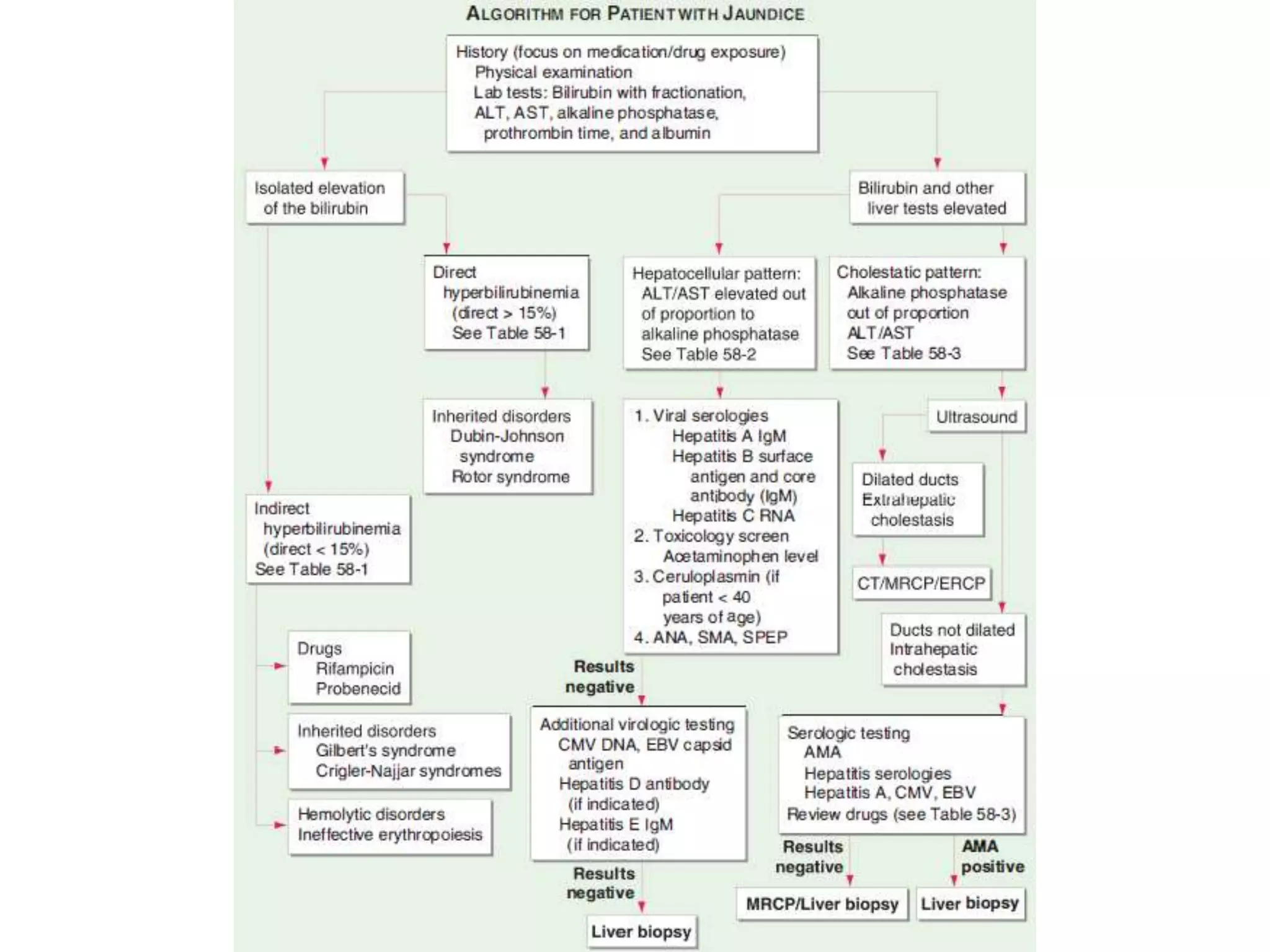Approach to jaundice | PPTX