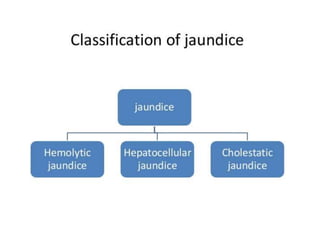 Approach to jaundice | PPTX