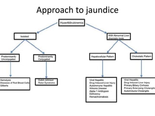 Approach to jaundice | PPTX