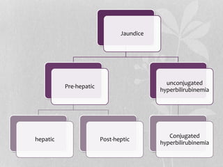clinical approach to jaundice in adults | PPTX