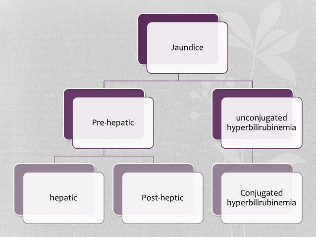 clinical approach to jaundice in adults | PPTX