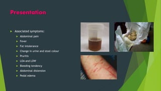 Approach to jaundice | PPTX