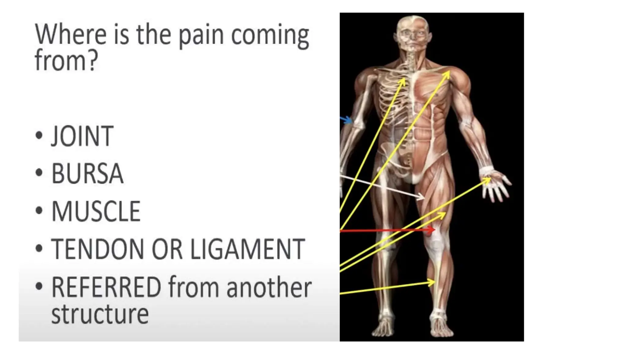 Approach to Joint pain_Dr Manoj.pkhanaptx | PPTX