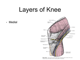 Surgical Approach to Knee | PPTX