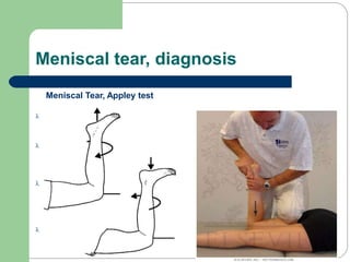 approach to knee pain 2.pptx