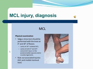 approach to knee pain 2.pptx
