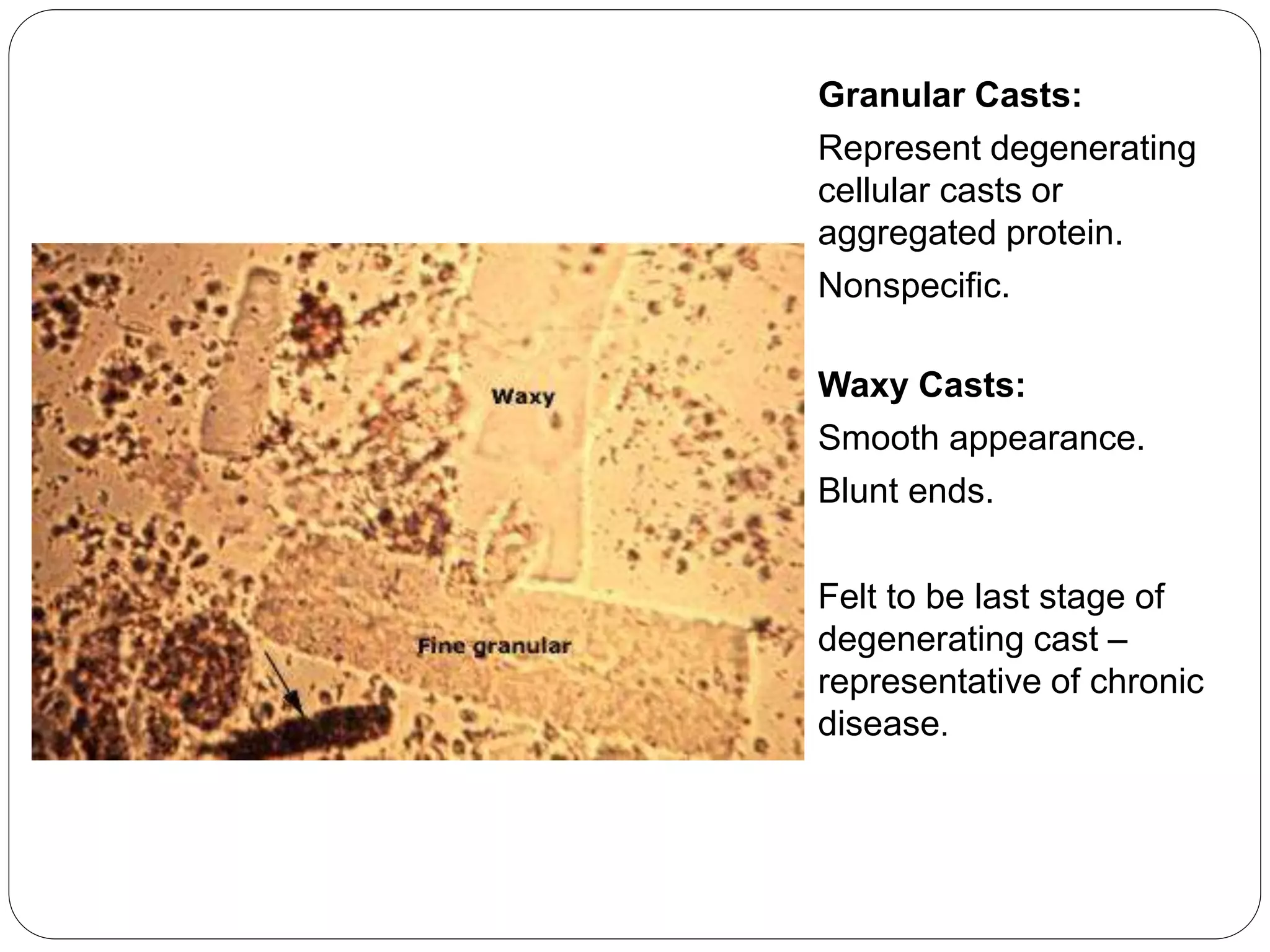 Approach to laboraratory diagnosis of acute and chronic renal failure ...