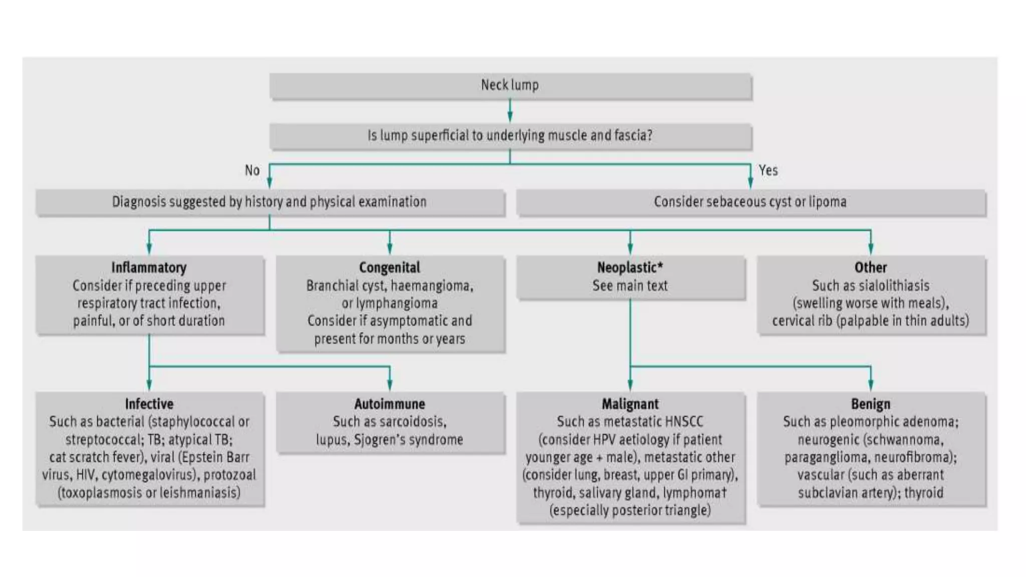Approach to lateral neck swelling in adults and children | PPTX