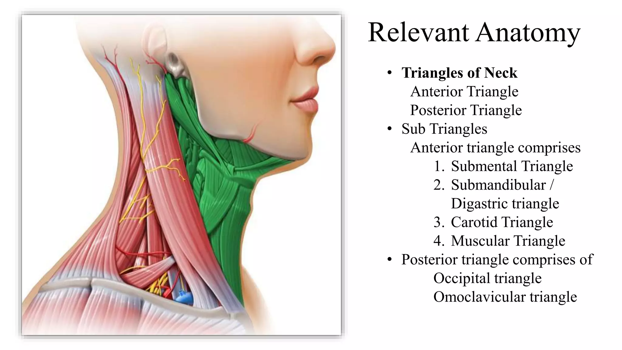 Approach to lateral neck swelling in adults and children | PPTX