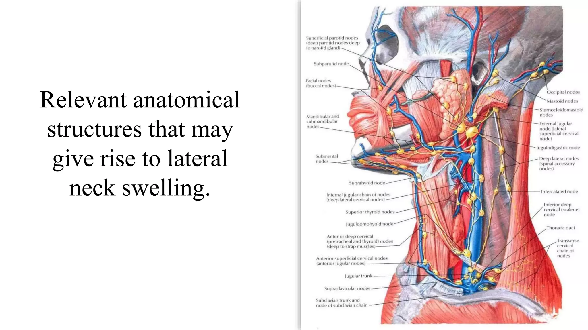 Approach to lateral neck swelling in adults and children | PPTX
