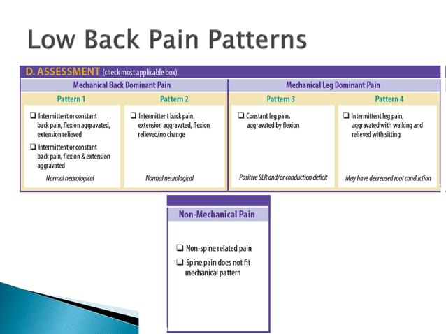 Approach to Low Back Pain | PPTX | Physical Therapy | Wellness