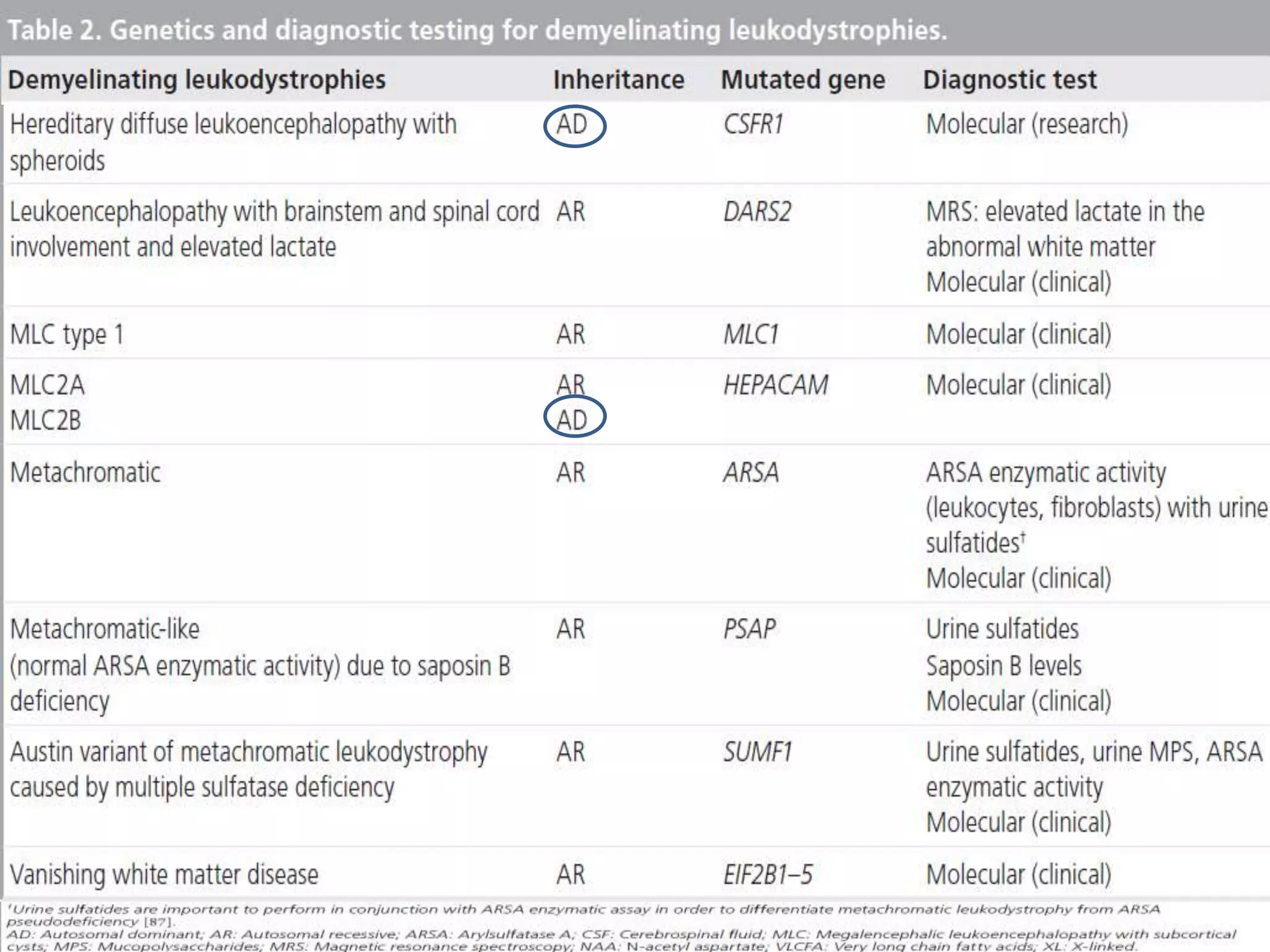 Approach to leukodystrophy | PPTX | Brain and Nervous System Disorders ...