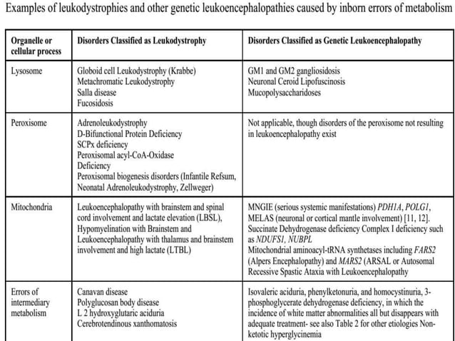 Approach to leukodystrophy | PPTX | Brain and Nervous System Disorders ...