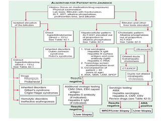 Approach to lft | PPT