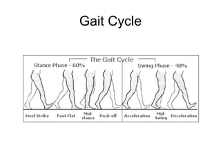 Approach to limping child converted | PDF