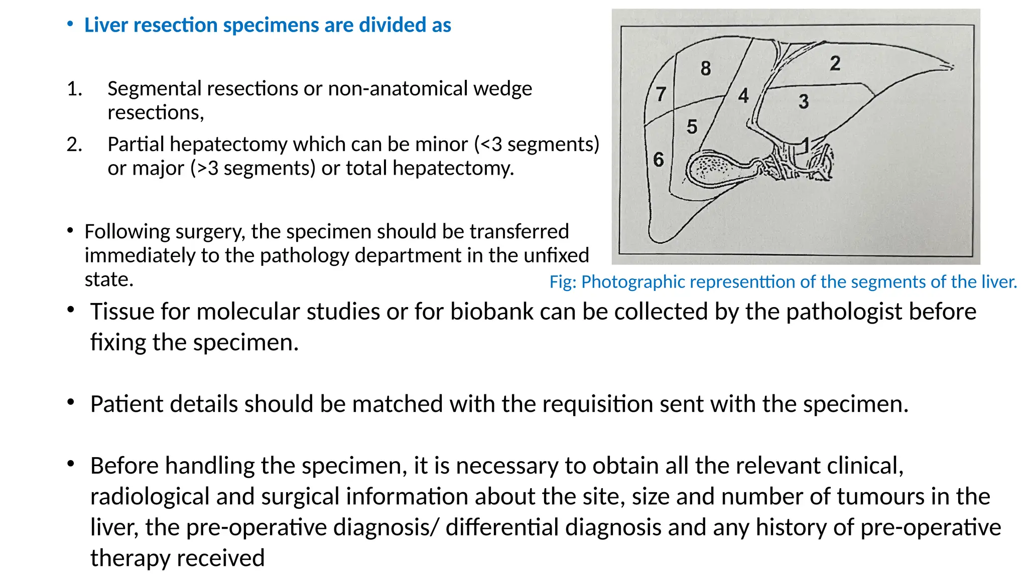 Approach to liver biopsy.pptx study exam skides | PPTX