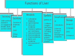 Approach to liver disease | PPTX | Endocrine and Metabolic Diseases ...