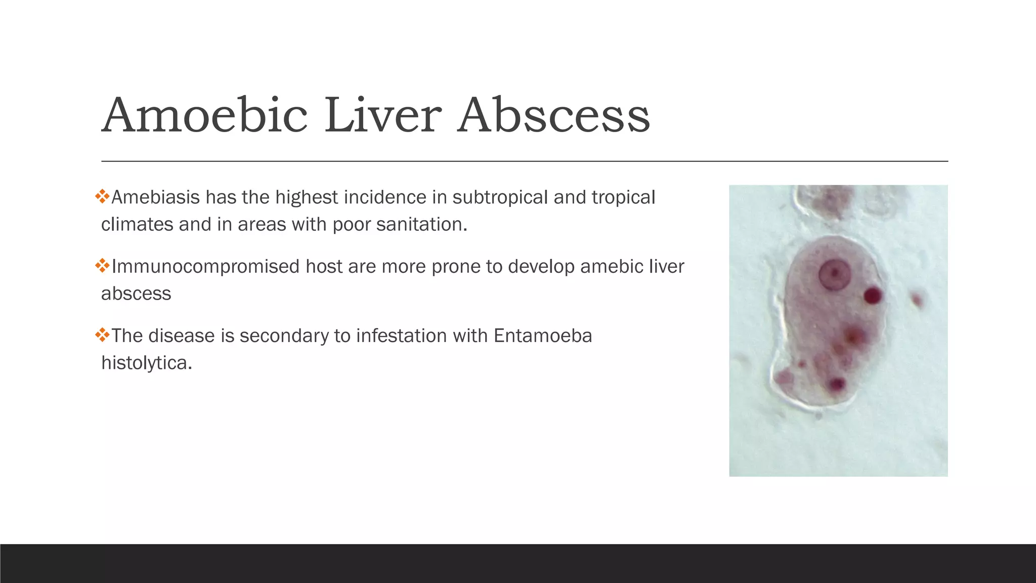 Approach to liver mass (Cystic and Solid) | PDF