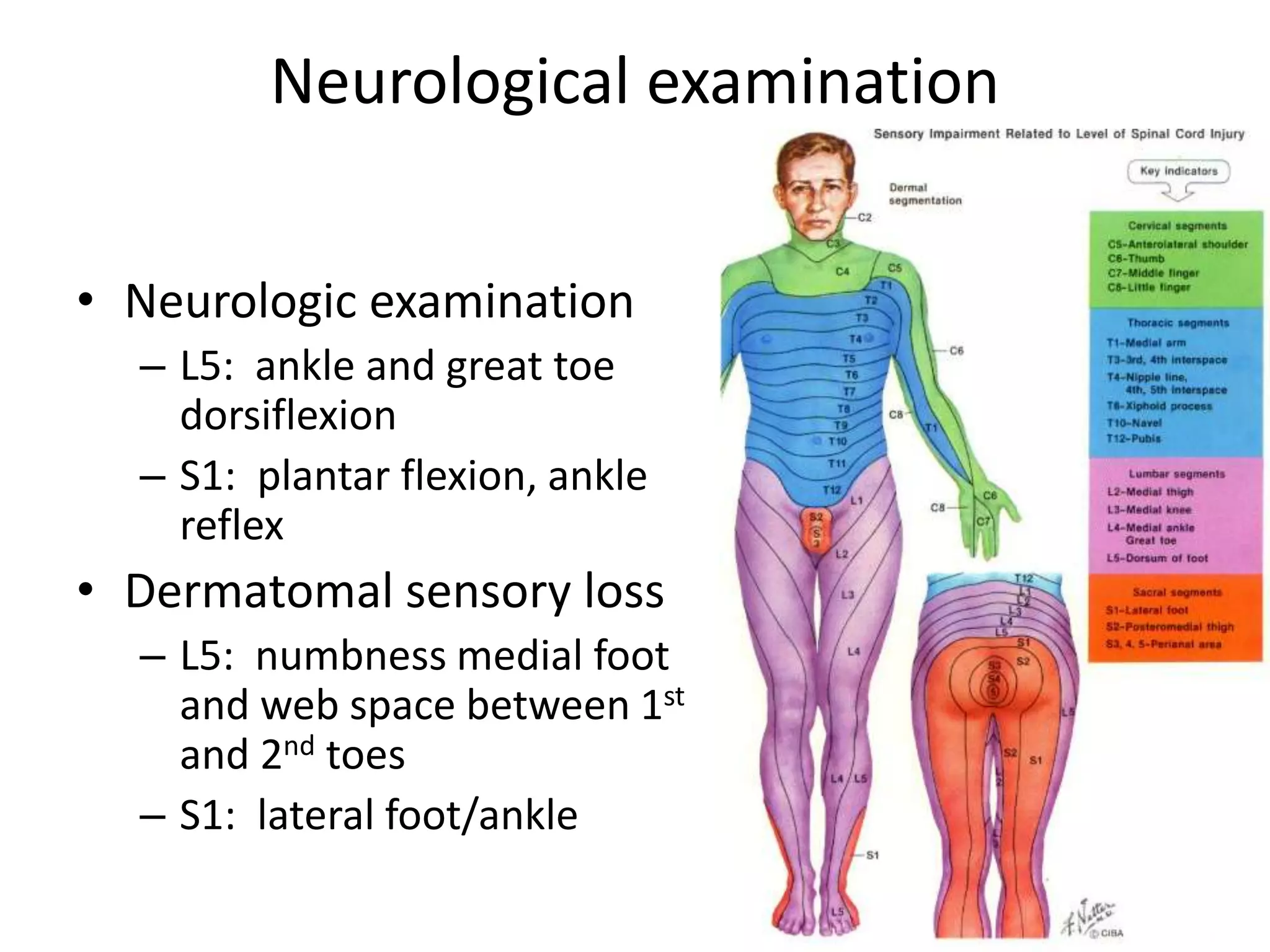 Approach to low back pain | PPTX