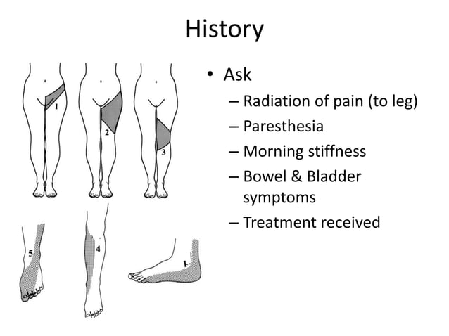 Approach to low back pain | PPTX | Physical Therapy | Wellness