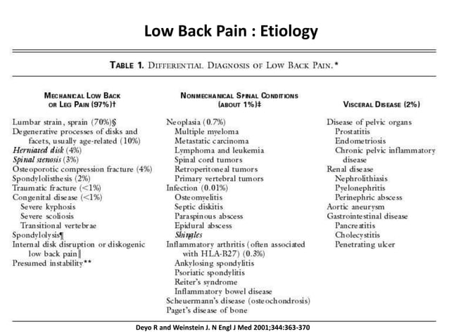 Approach to low back pain | PPTX | Physical Therapy | Wellness