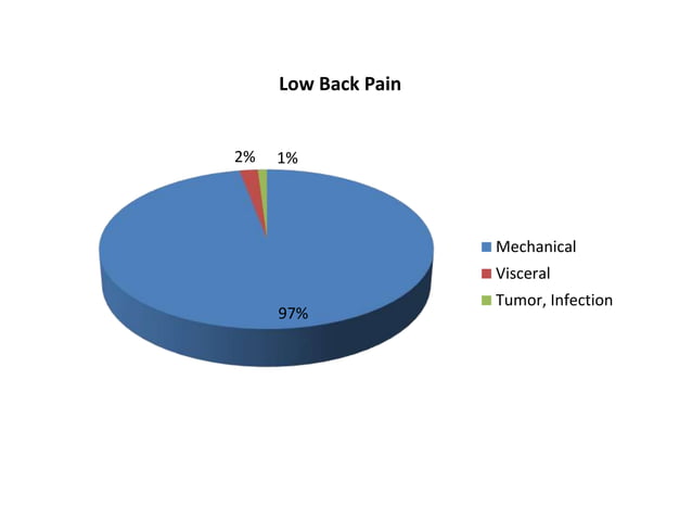 Approach to low back pain | PPTX | Physical Therapy | Wellness