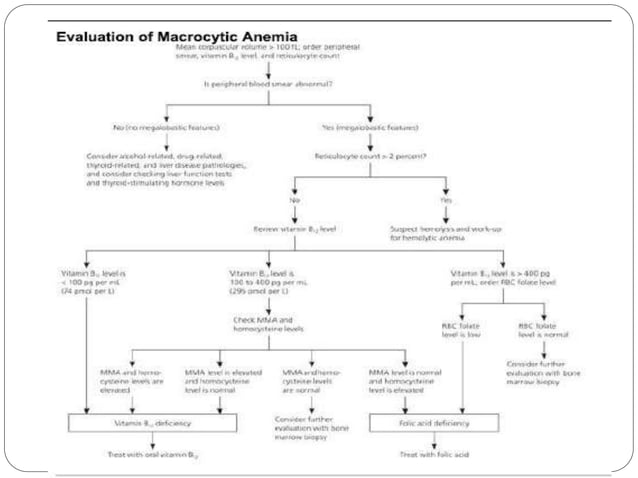 Approach to macrocytic anemia | PPTX