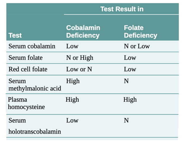 Diagnostic Approach to macrocytic anemia .pptx