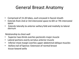 approach to mammogram.ppt