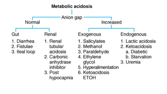 Approach to metabolic acidosis | PPTX | Blood Disorders | Diseases and ...