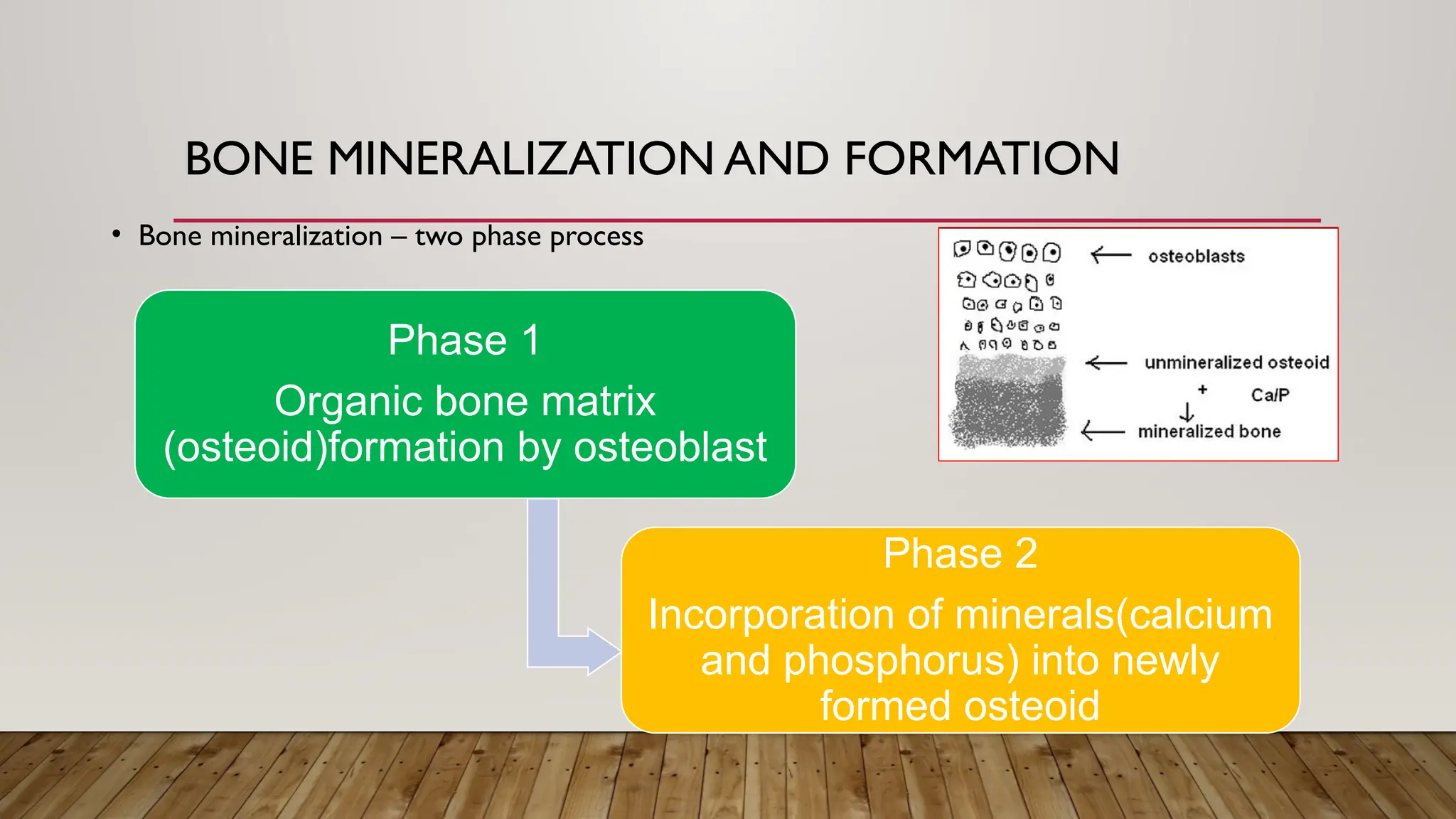Metabolic bone disease in preterm(Osteopenia of prematurity) | PPTX