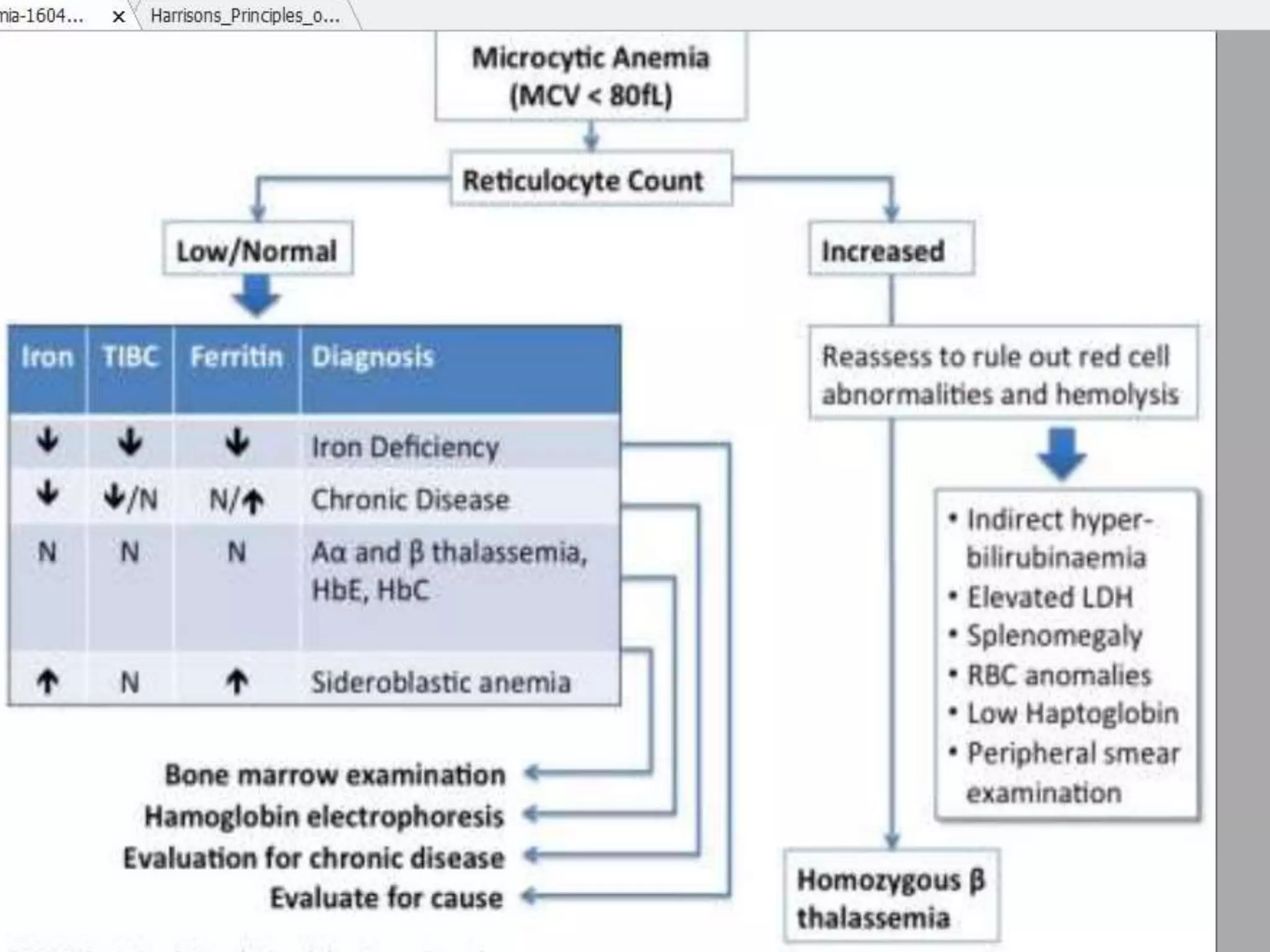 Approach to microcytic hypochromic anemia | PPTX