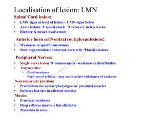 Approach to motor weakness | PPT