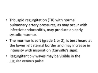 Approach to Heart Murmurs | PPTX
