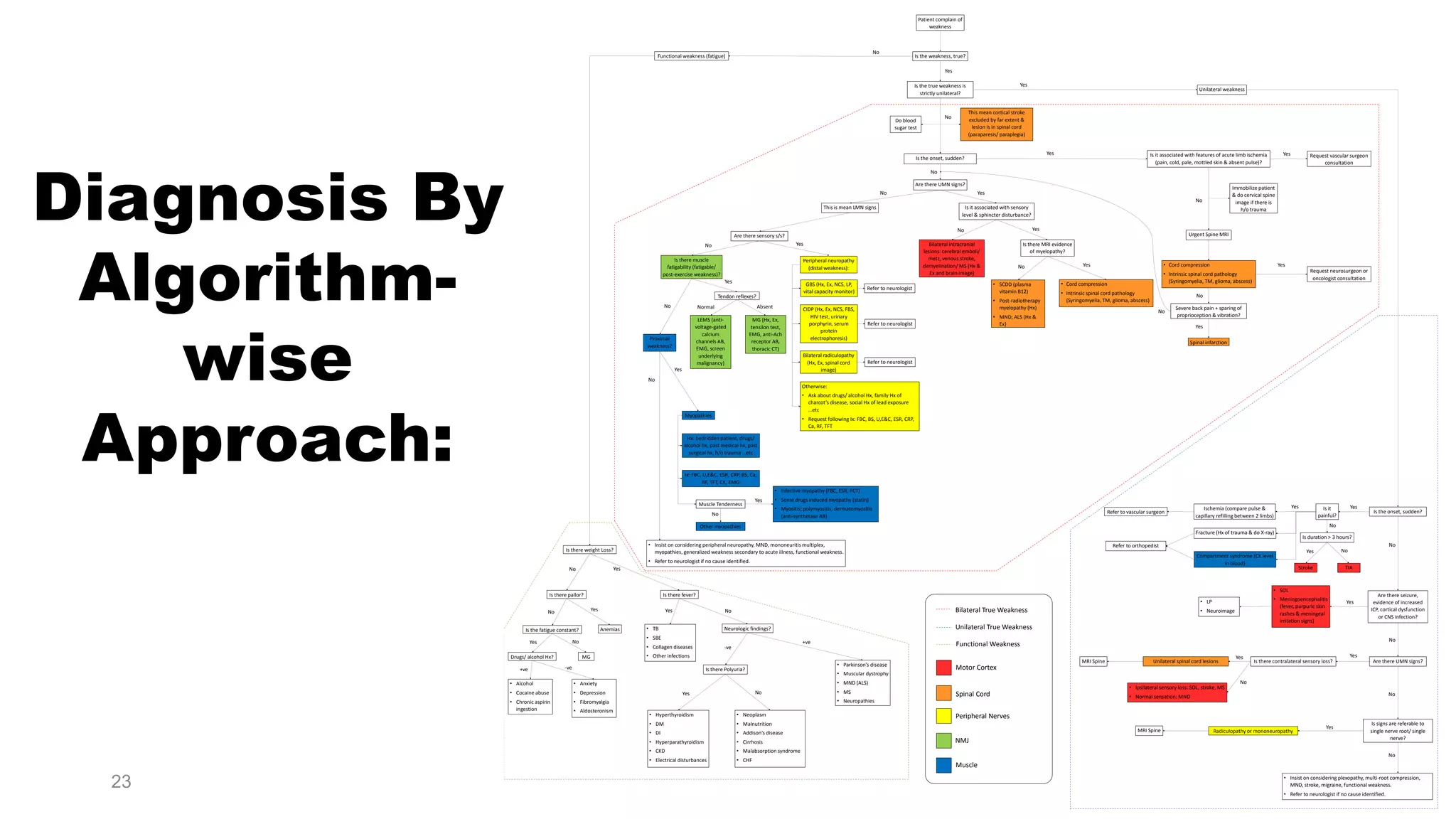 Approach to muscle weakness | PDF